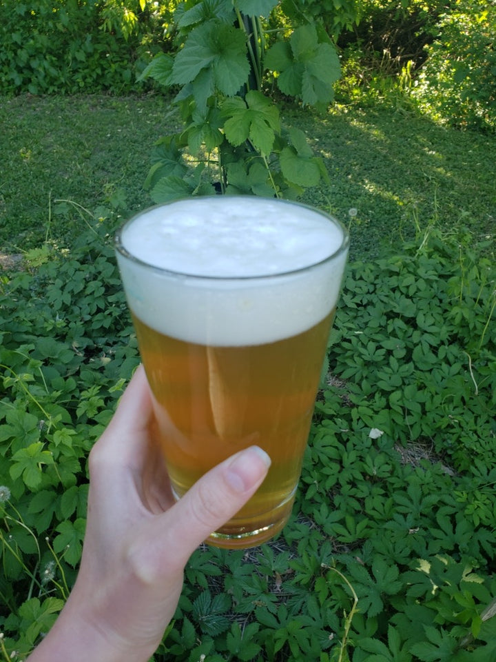 Cold Bear Brewing Co – Cold Bear Brew Co